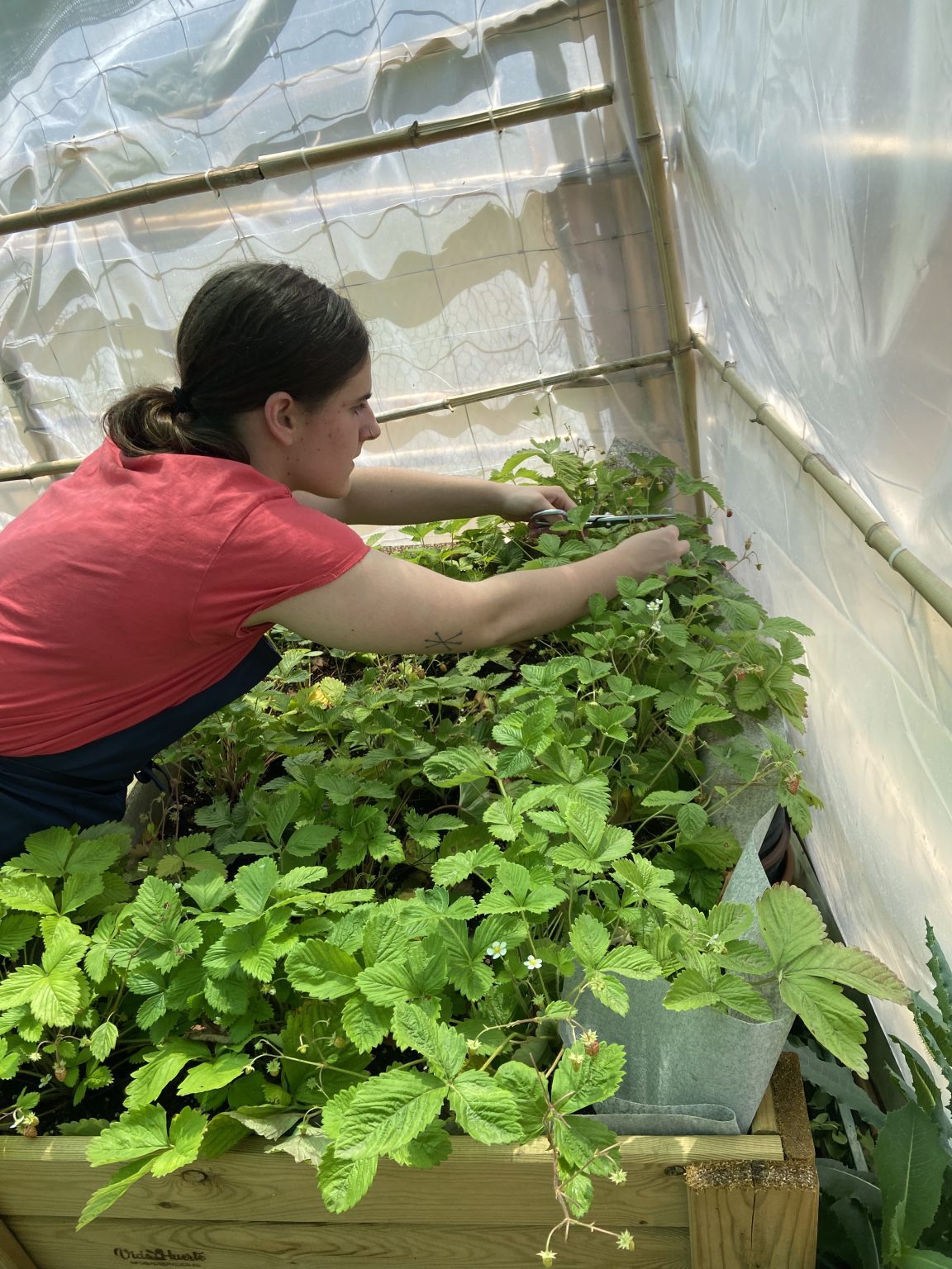 RESTAURANTE MAS MOLI PERALADA - MARC JOLI